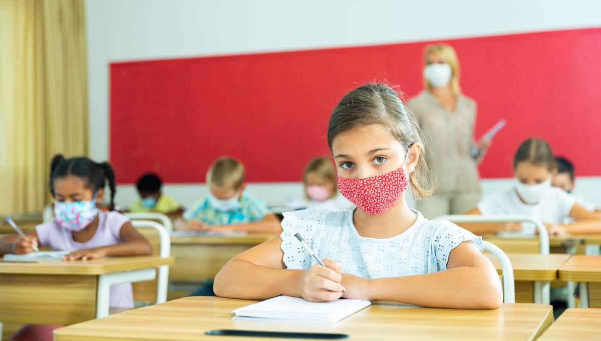 Infection control in schools - findings from a recent Cochrane Review ...